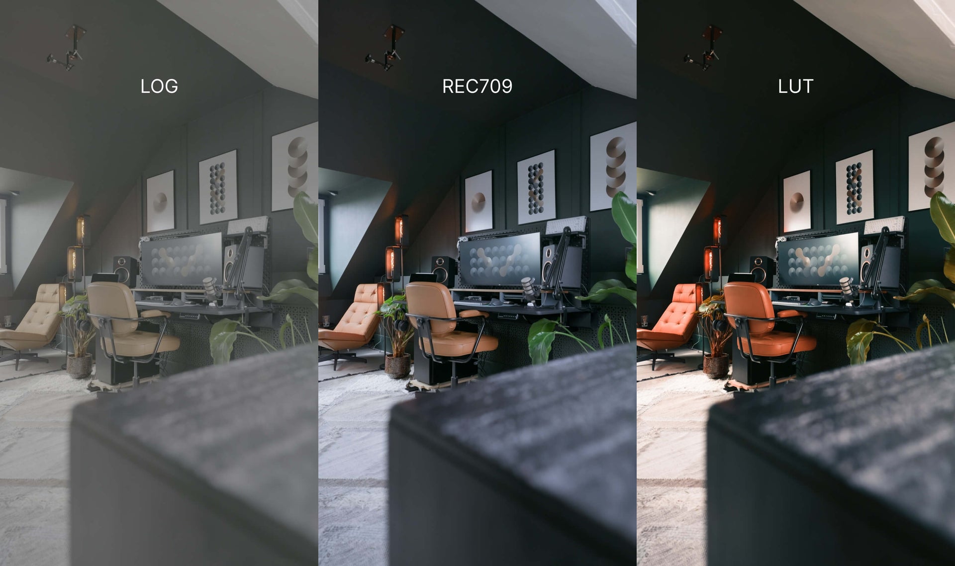 Signature LUT Collection + Free 3-hour Color Grading course for Davinc ...