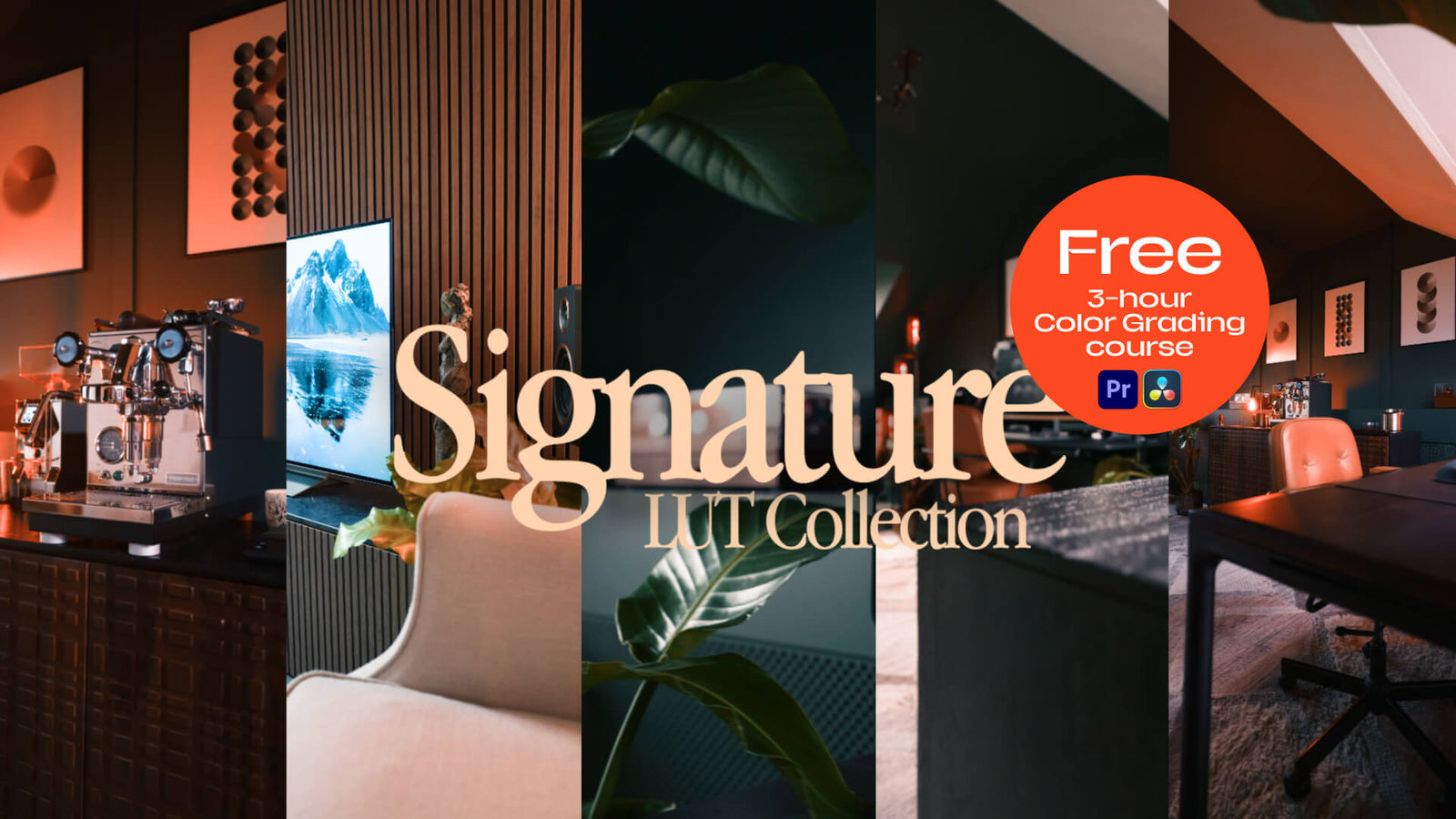 Signature LUT Collection + Free 3-hour Color Grading course for Davinc ...