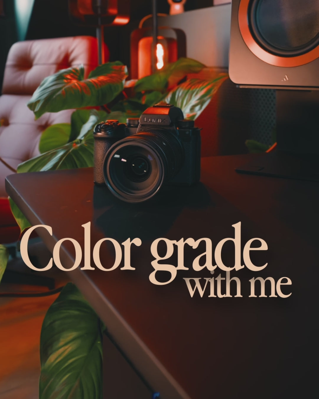 Signature Collection with free color grading course – By.amarmuric ...